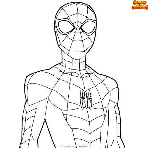 Dibujo para colorear Hombre araña - Supercolored.com Dibujo para colorear Hombre araña - Supercolored.com