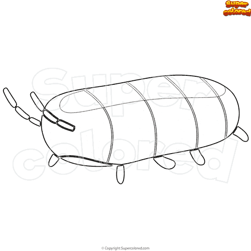 Coloring Page Amphibia Chocopede